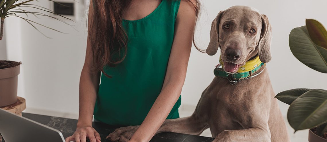 New Flexibility with the APS Credit Cards - APS Bank